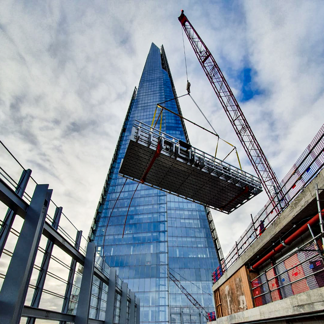 Projects | Plant Movements